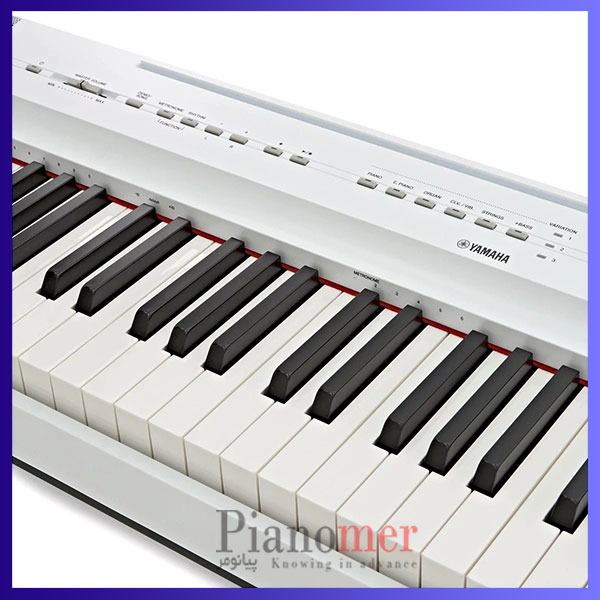 مقایسه پیانو P125 و P45 ️ کدوم ارزش خرید داره؟